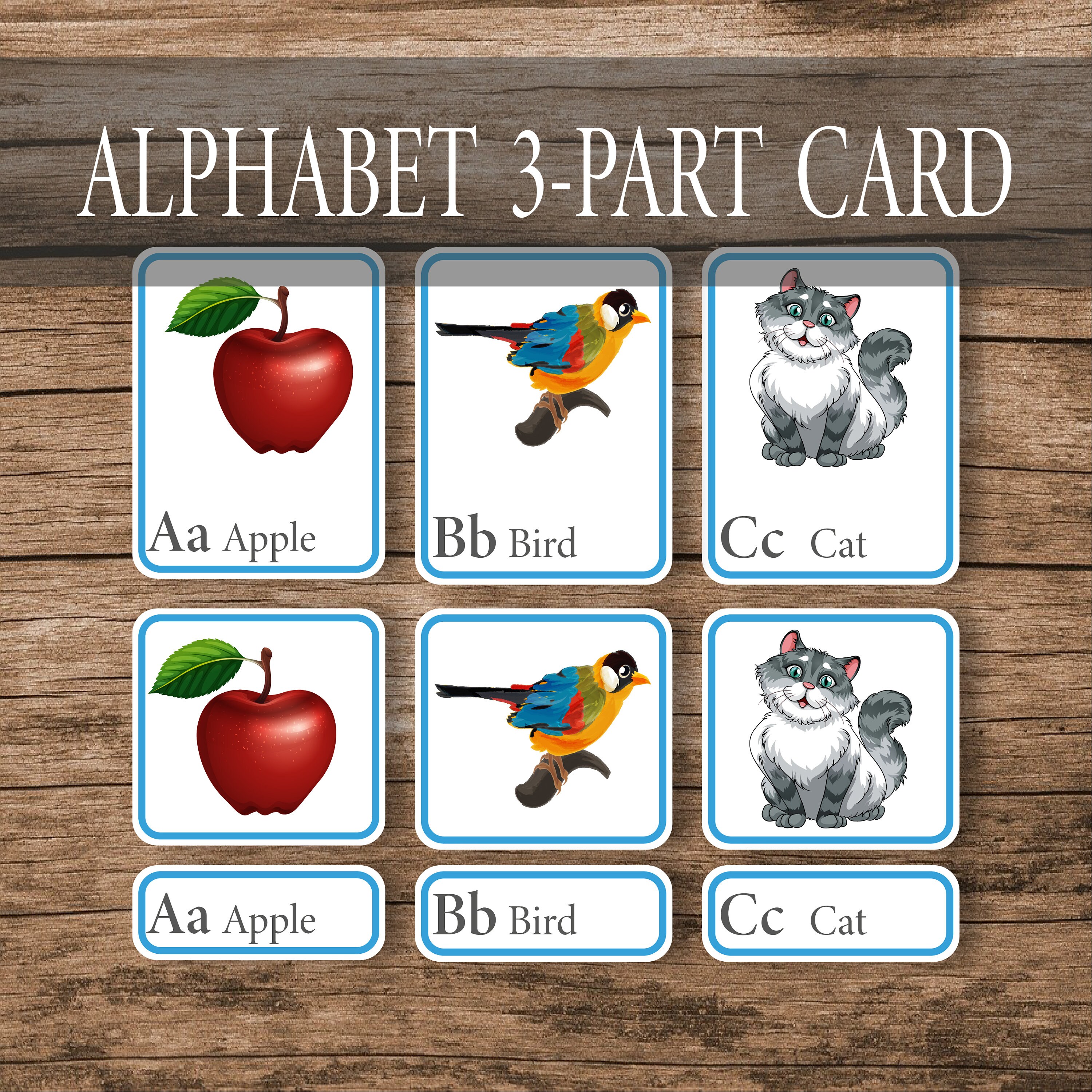 ALPHABET Printable Flashcards , Montessori Three Part ABC Flashard for ...