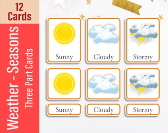 Fruits Watercolor Flash Cards. Montessori Three Part Cards. - Etsy