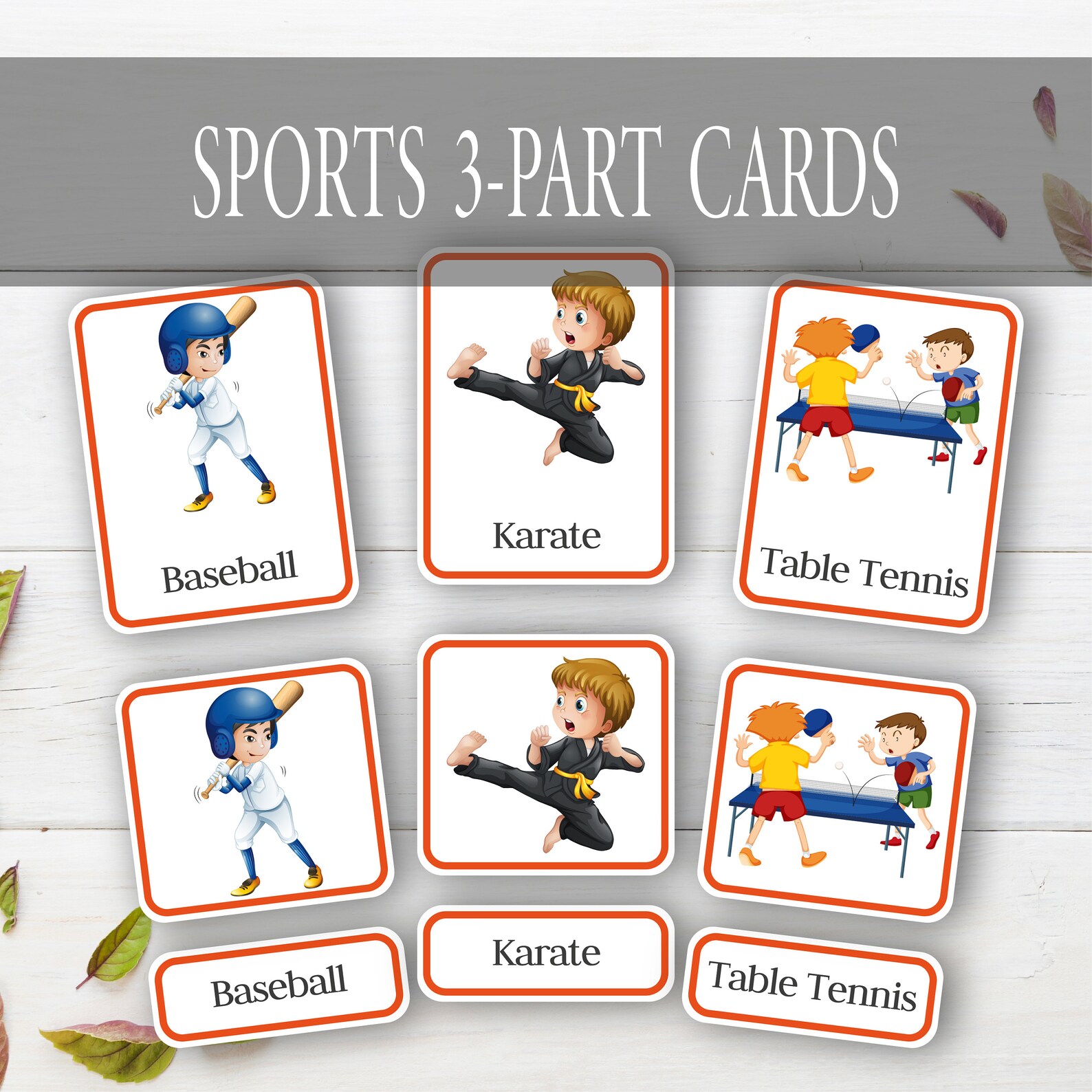 Sports Three Part Flash Cards, Toddler Flashcards for Kids, Early ...