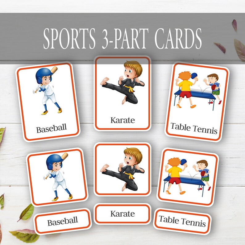 Sports Three Part Flash Cards, Toddler Flashcards for Kids, Early ...