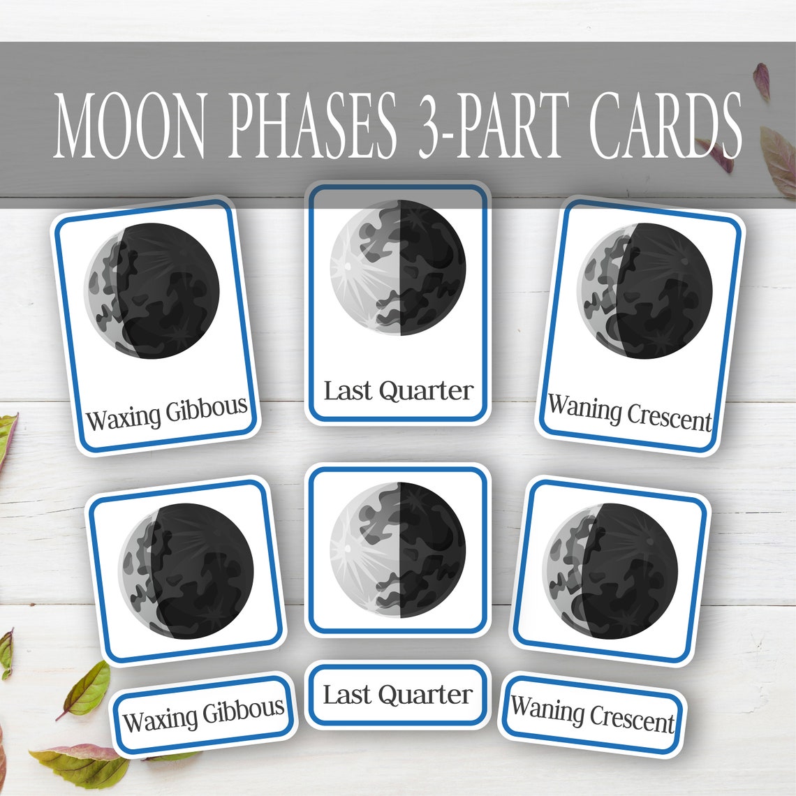MOON PHASES Three Part Flash Cards Nomenclature Flashcards - Etsy