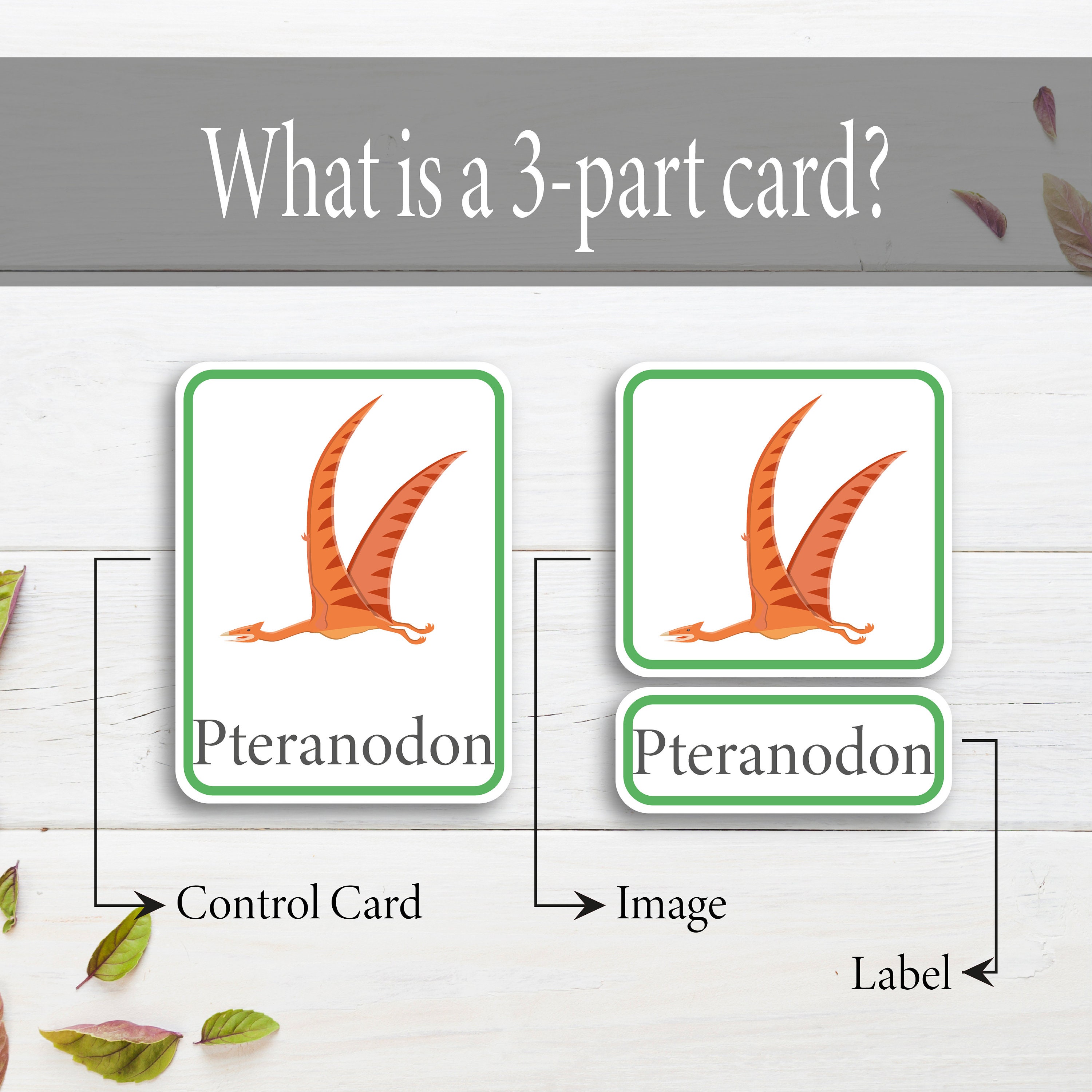 DINOSAURS Three Part Flash Cards, Montessori Printable Flashcards ...