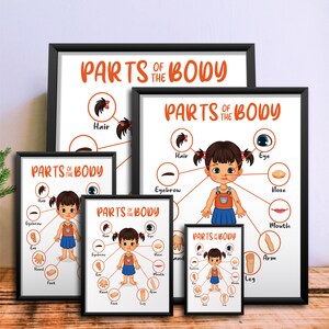 Parts of Body Poster, Printable Educational Human Body Poster, Nursery ...