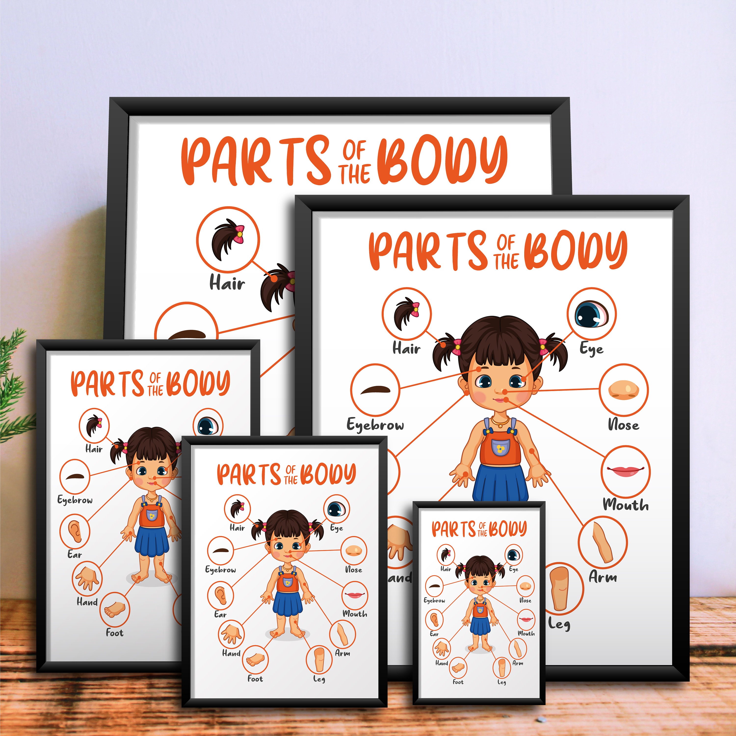 Parts of Body Poster, Printable Educational Human Body Poster, Nursery ...