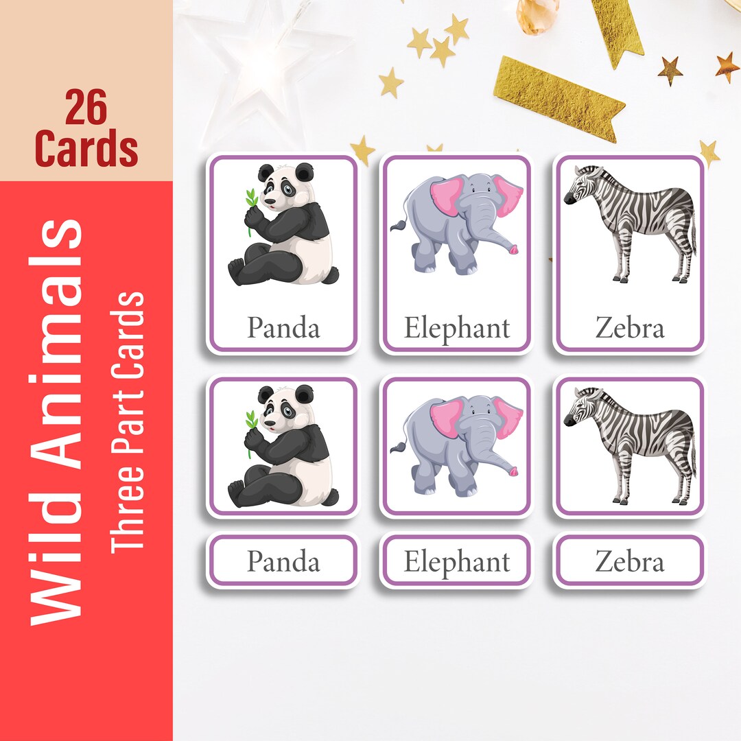 Wild Animals Flash Cards: Montessori Jungle Animals (PDF) - Etsy