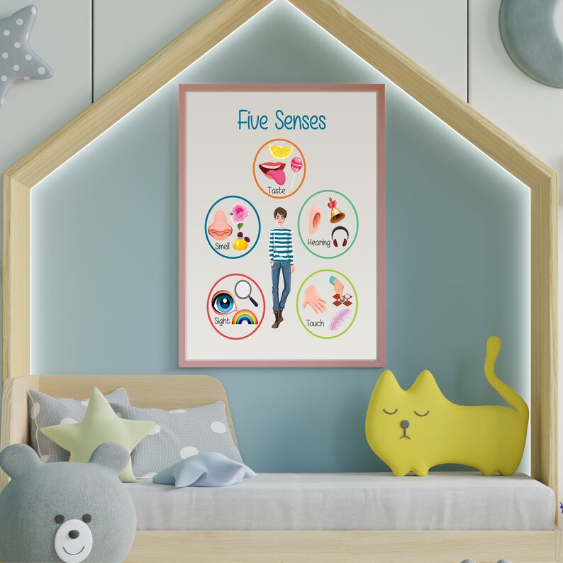 Five Senses Poster Montessori Classroom Decor Playroom Wall - Etsy