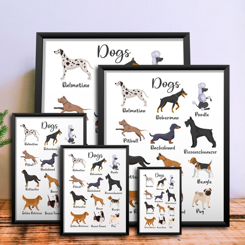 Dog Breed Chart Poster Animal Printable Wall Art for Kids - Etsy