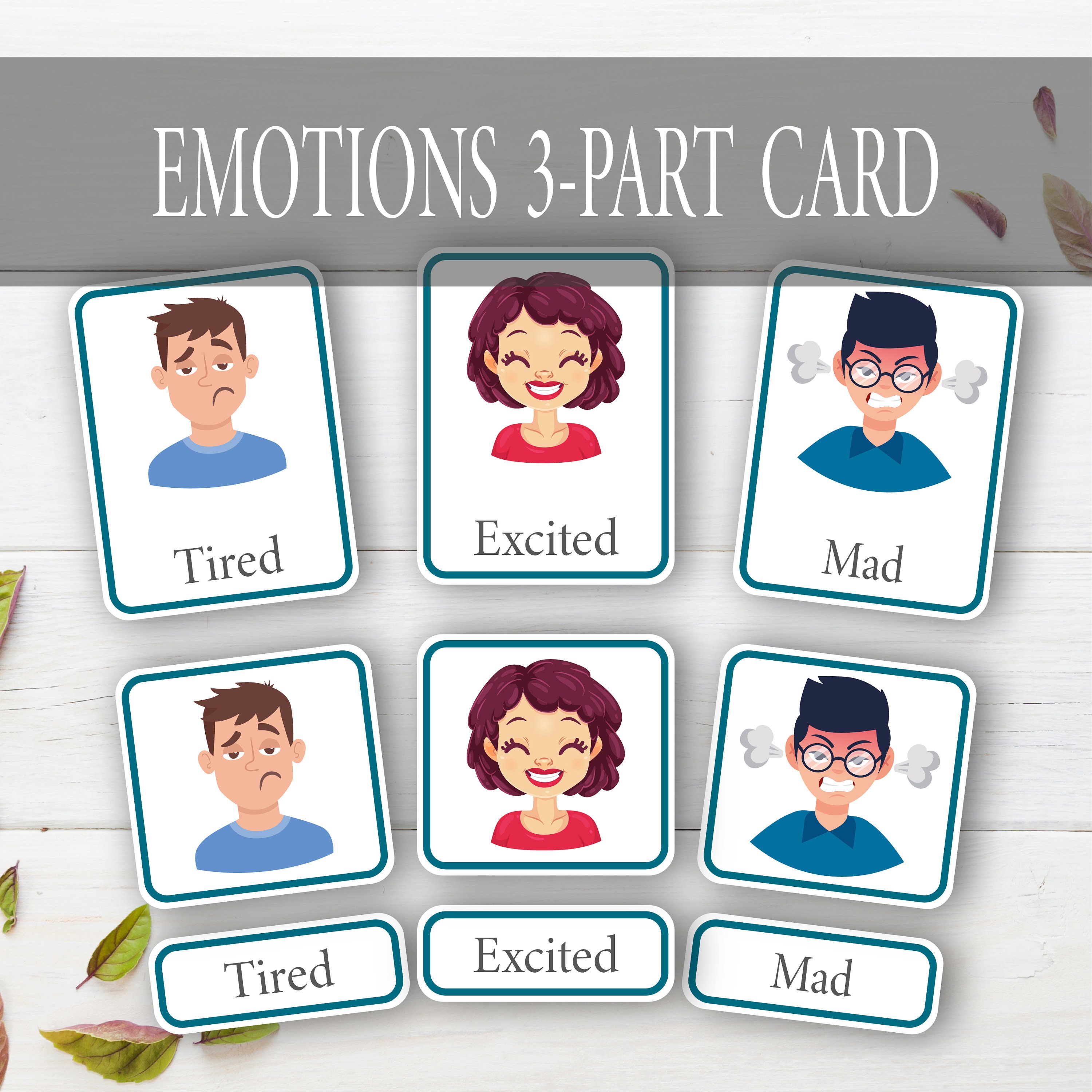 Emotion Flashcards Feelings Flash Cards Montessori - Etsy