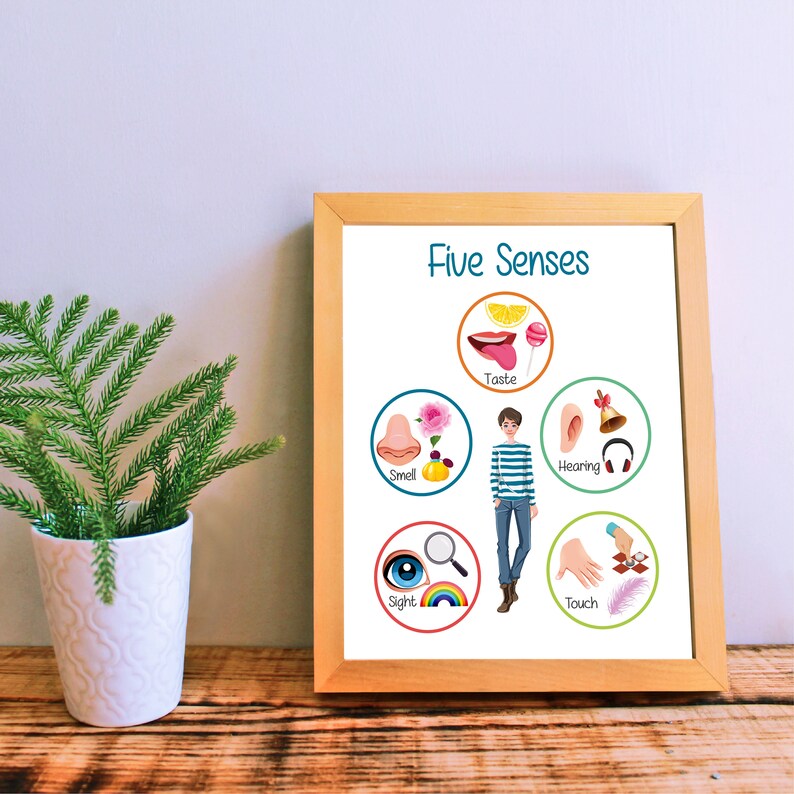 Five Senses Poster Montessori Classroom Decor Playroom Wall - Etsy Hong ...