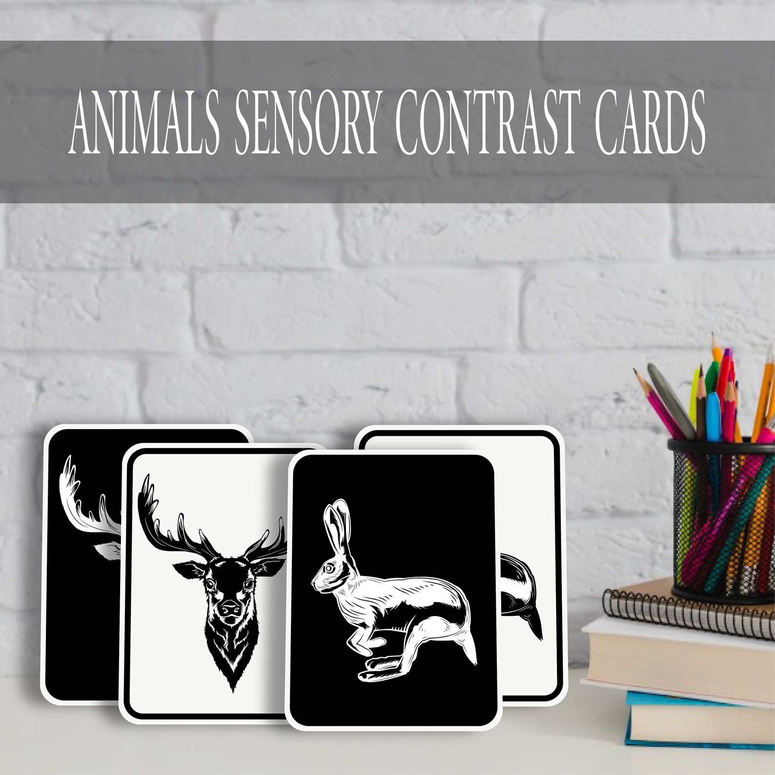 Animals High Contrast Baby Cards Baby Contrast Cards For | Etsy