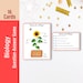 Biology Question-answer Game Cards, Montessori Toddler Game Cards for ...