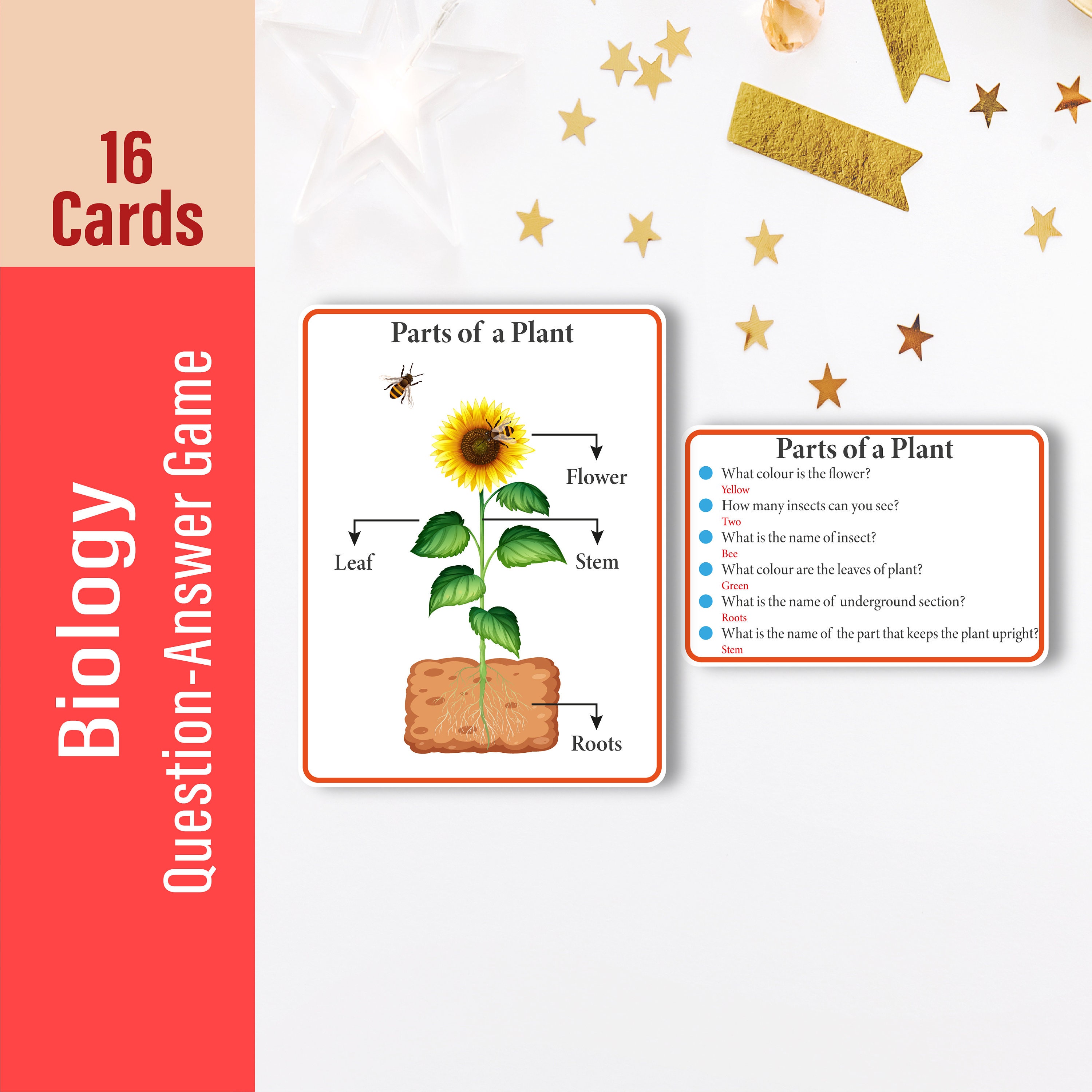 Biology Question-answer Game Cards, Montessori Toddler Game Cards for ...