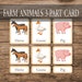 Farm Animals Three Part Flash Cards, Printable Download, Homeschooling ...