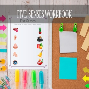 Five Senses Printable Toddler Busy Book, Montessori Five Senses ...