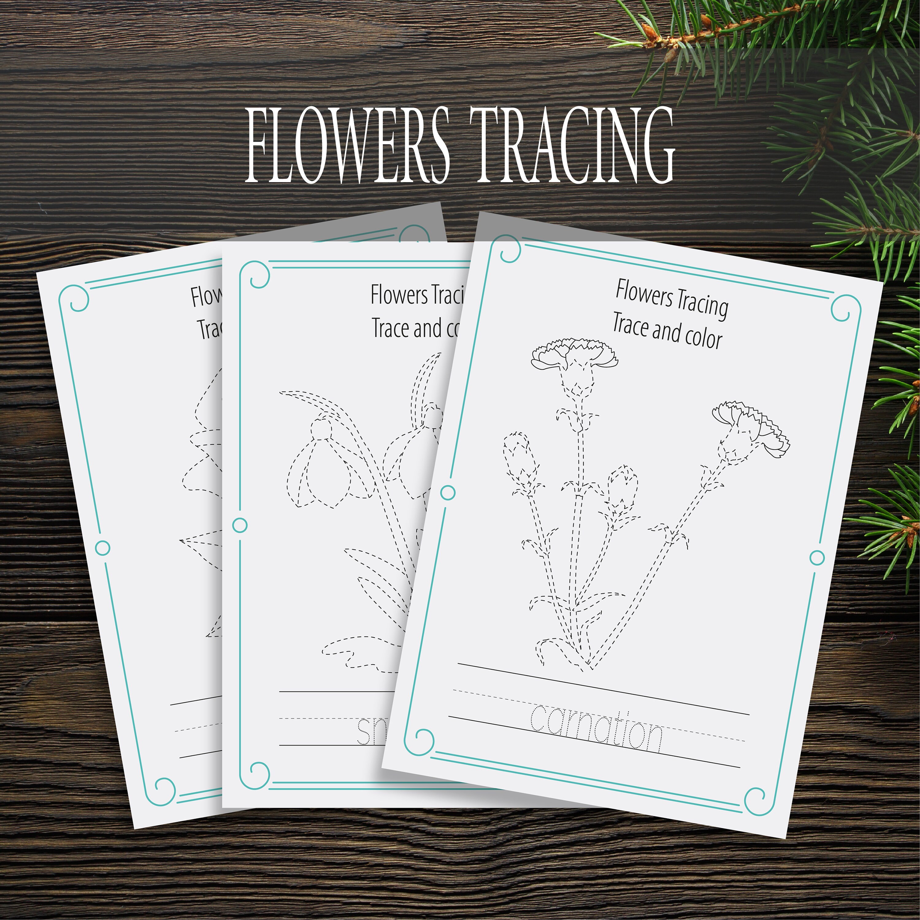 Flowers Tracing Worksheets: Montessori Early Learning (PDF) - Etsy