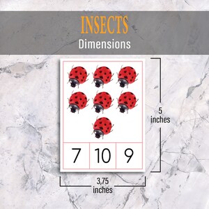 INSECTS 1-10 Count and Clip Cards Watercolor BUGS Printable Number ...