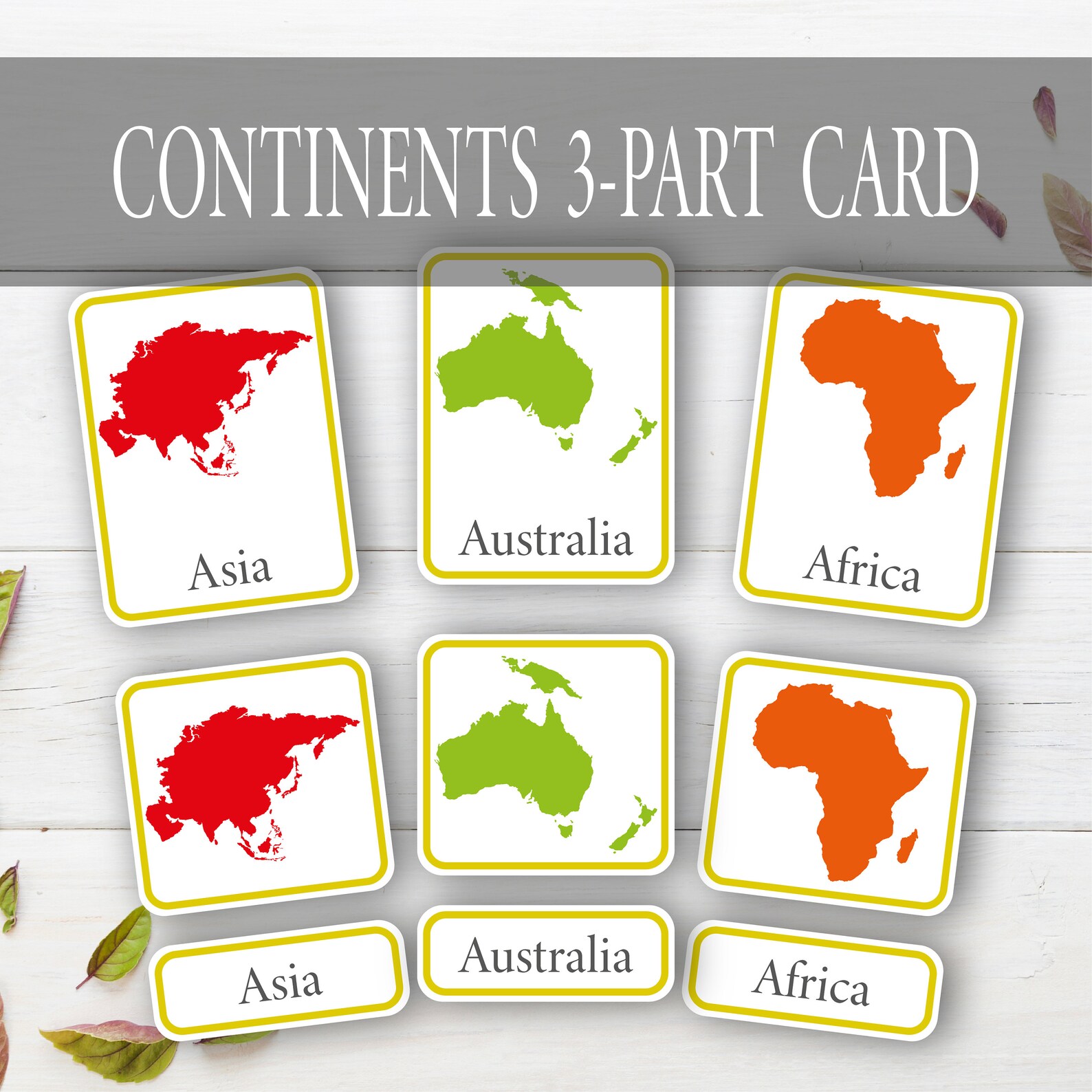 CONTINENTS of the WORLD Three Part Flash Cards, Printable World Map ...
