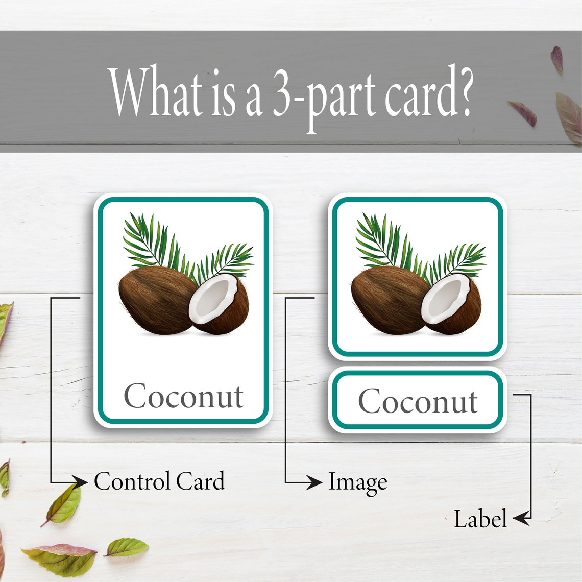 FRUITS Three Part Flash Cards Montessori Preschool Toddler - Etsy