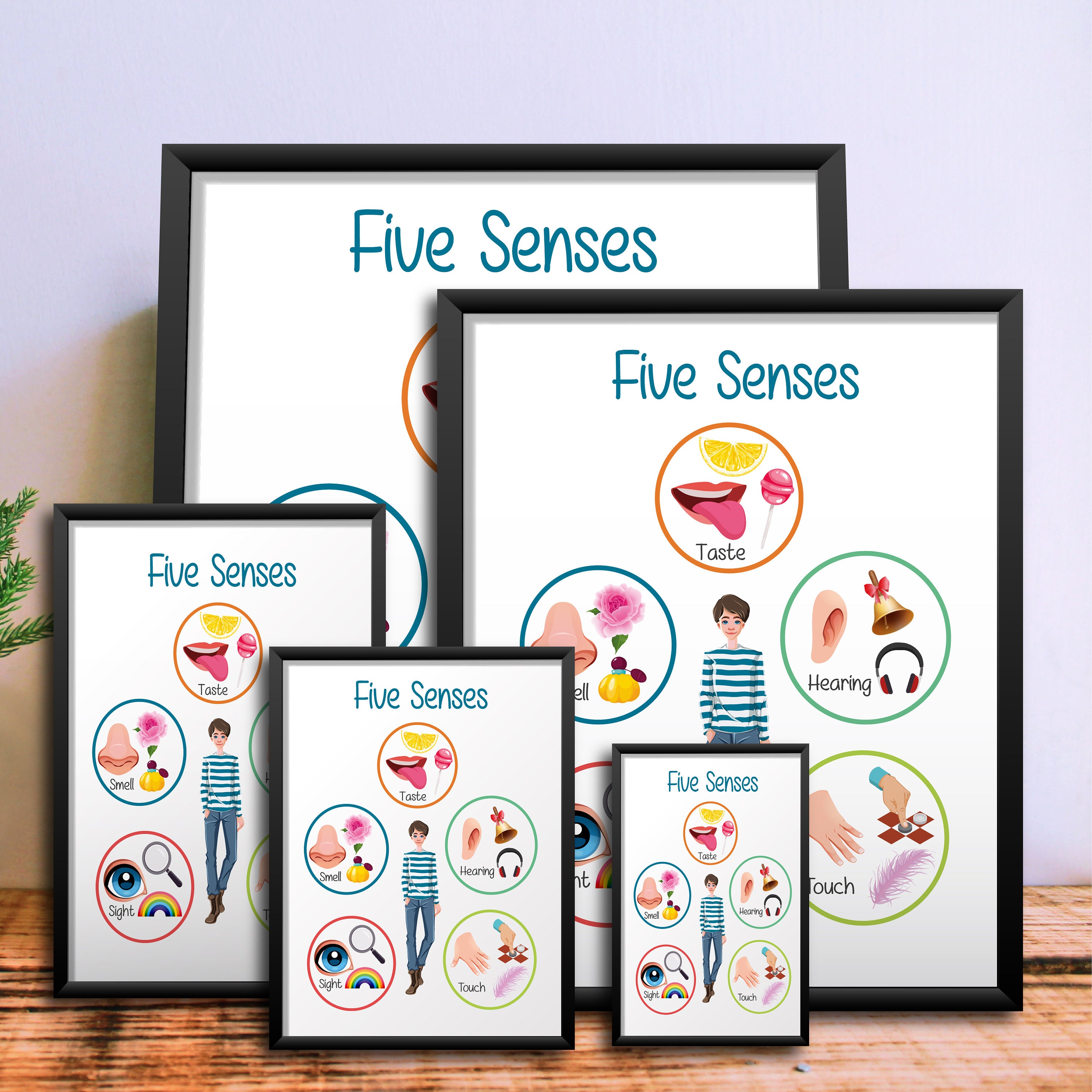 Five Senses Poster Montessori Classroom Decor Playroom Wall - Etsy