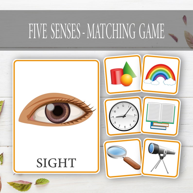 Five Senses Matching Game Cards Montessori Toddler Matching - Etsy