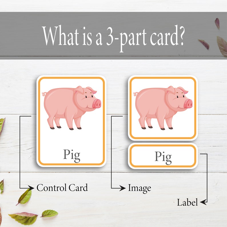 Farm Animals Three Part Flash Cards, Printable Download, Homeschooling ...