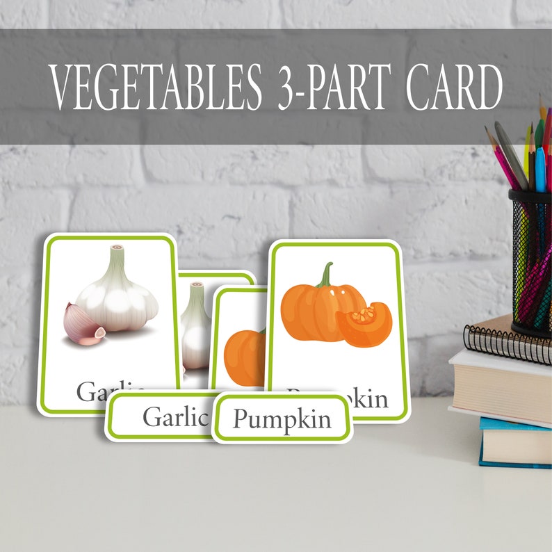 VEGETABLES Three Part Flash Cards Montessori Resources - Etsy