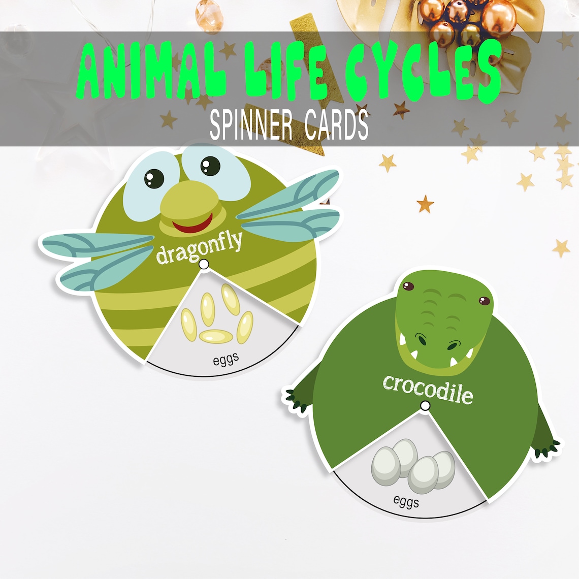 Life Cycle of ANIMAL Bee Butterfly Chicken Frog - Etsy UK