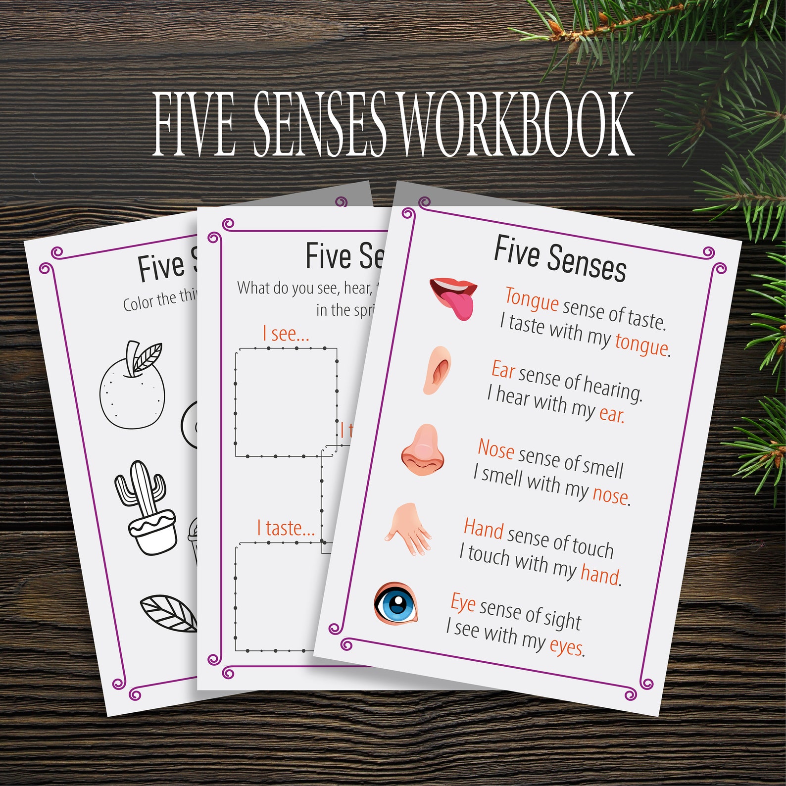 Five Senses Printable Toddler Busy Book, Montessori Five Senses ...