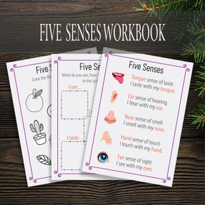 Five Senses Printable Toddler Busy Book, Montessori Five Senses ...