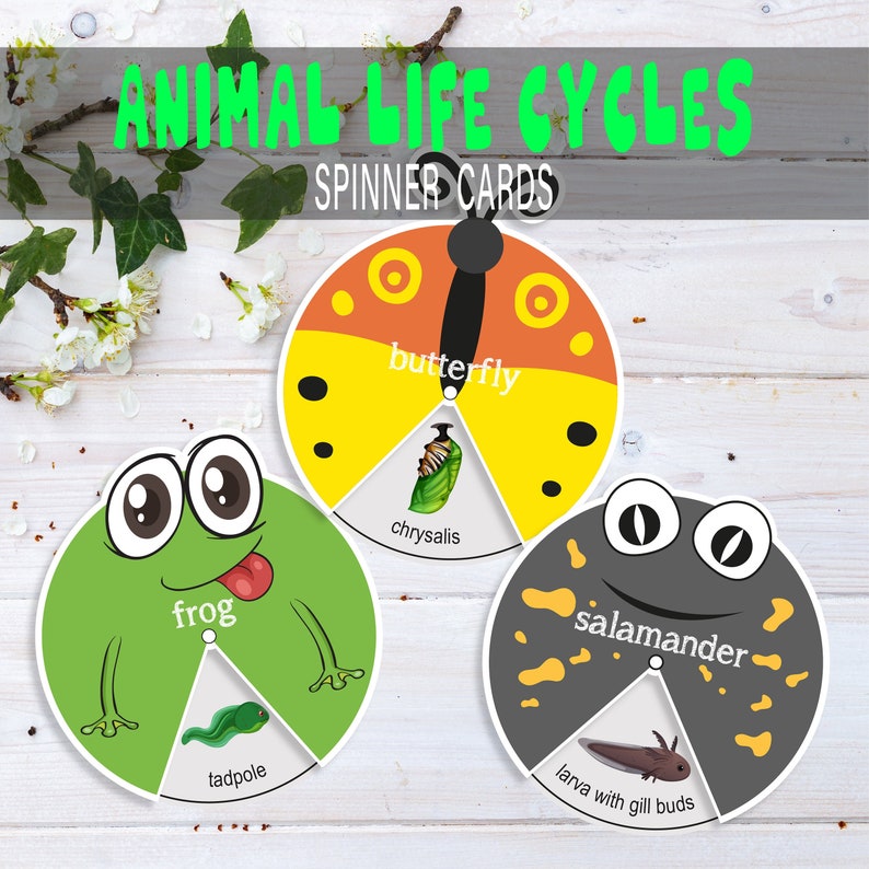 Life Cycle of ANIMAL, Bee, Butterfly, Chicken, Frog - Etsy