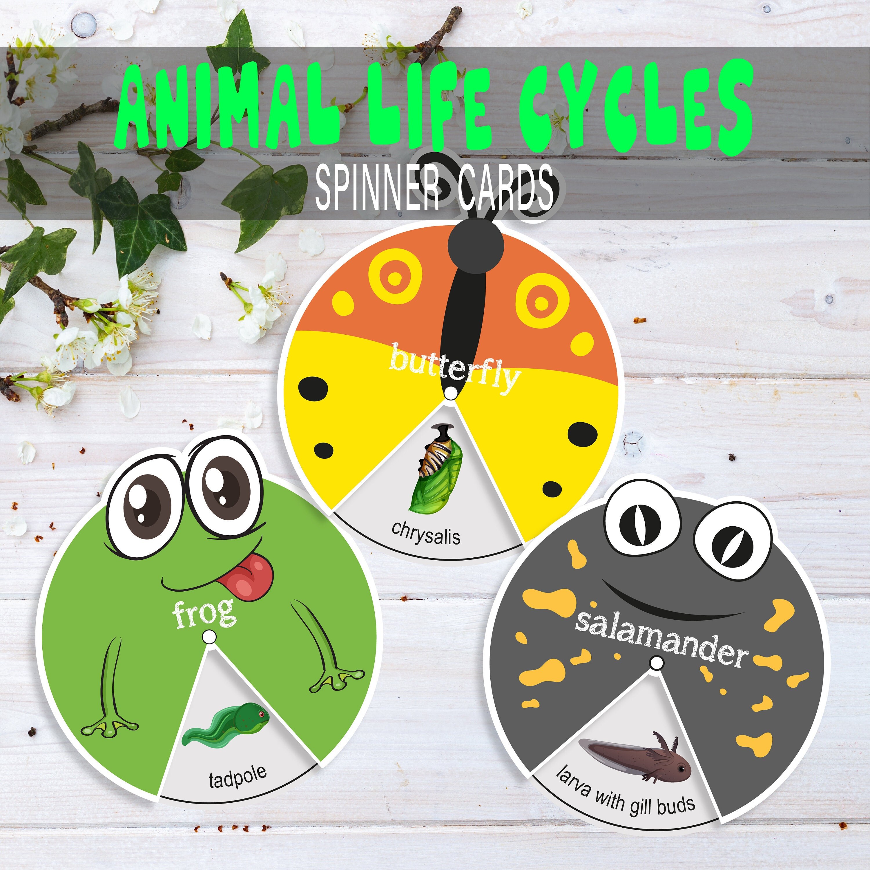 Life Cycle of ANIMAL, Bee, Butterfly, Chicken, Frog - Etsy UK