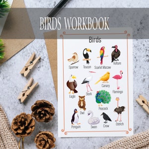 Bird Printable Toddler Busy Book, Montessori Toddler Animal Worksheet ...