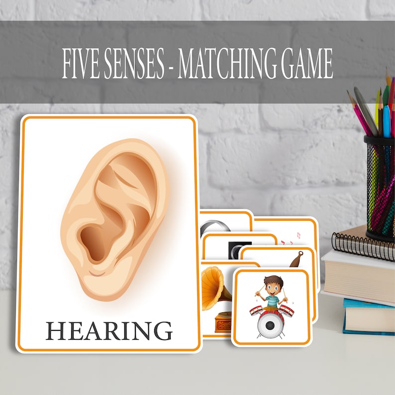 Five Senses Matching Game Cards: Montessori Early Learning (PDF) - Etsy