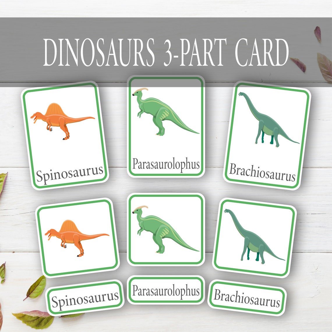 DINOSAURS Three Part Flash Cards Montessori Printable - Etsy