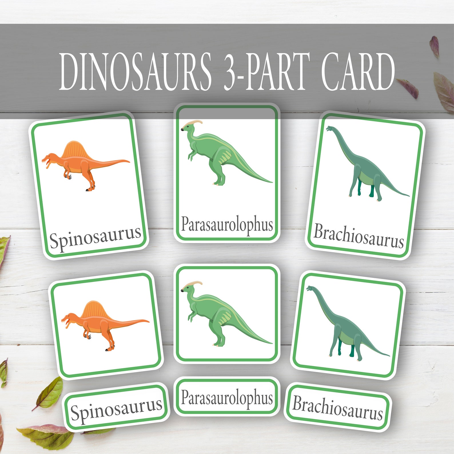 DINOSAURS Three Part Flash Cards, Montessori Printable Flashcards ...