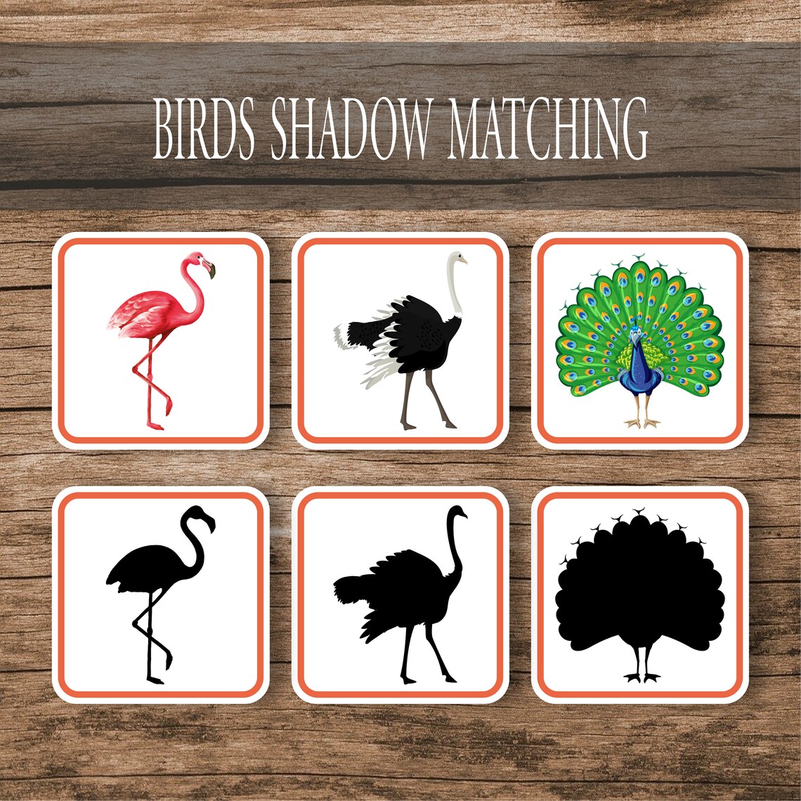 Birds Shadow Matching Game Cards Montessori Toddler Matching - Etsy
