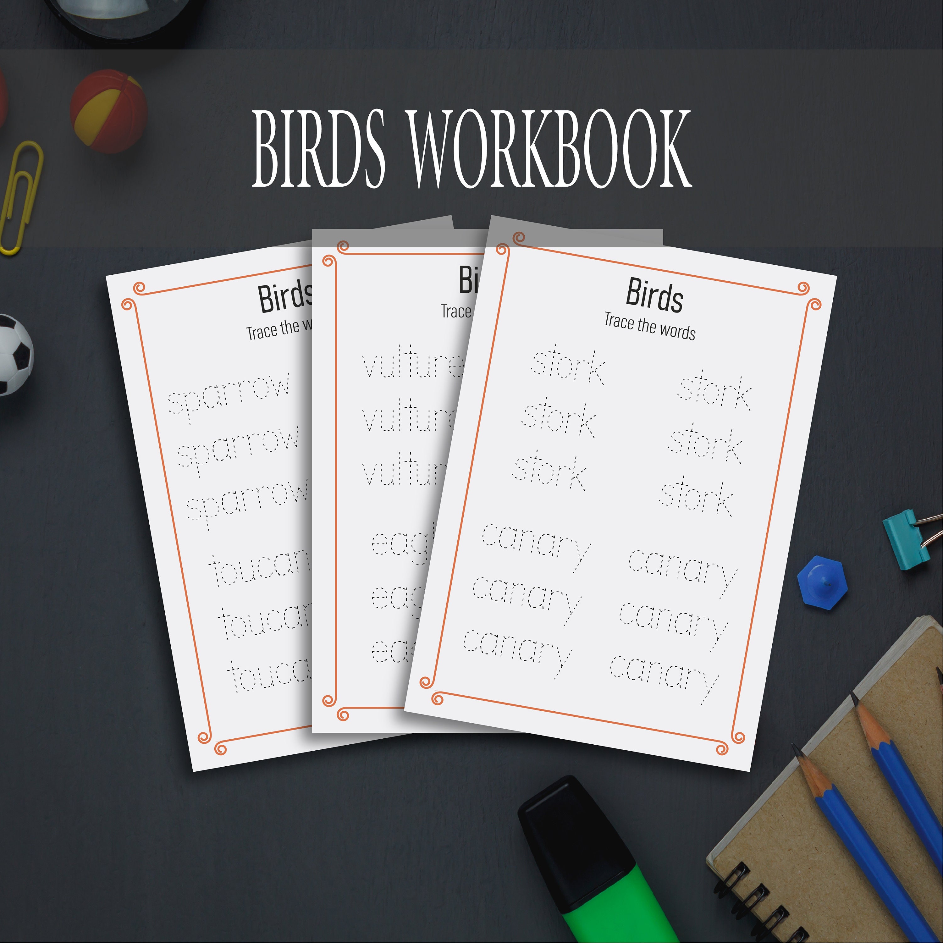 Bird Printable Toddler Busy Book, Montessori Toddler Animal Worksheet ...