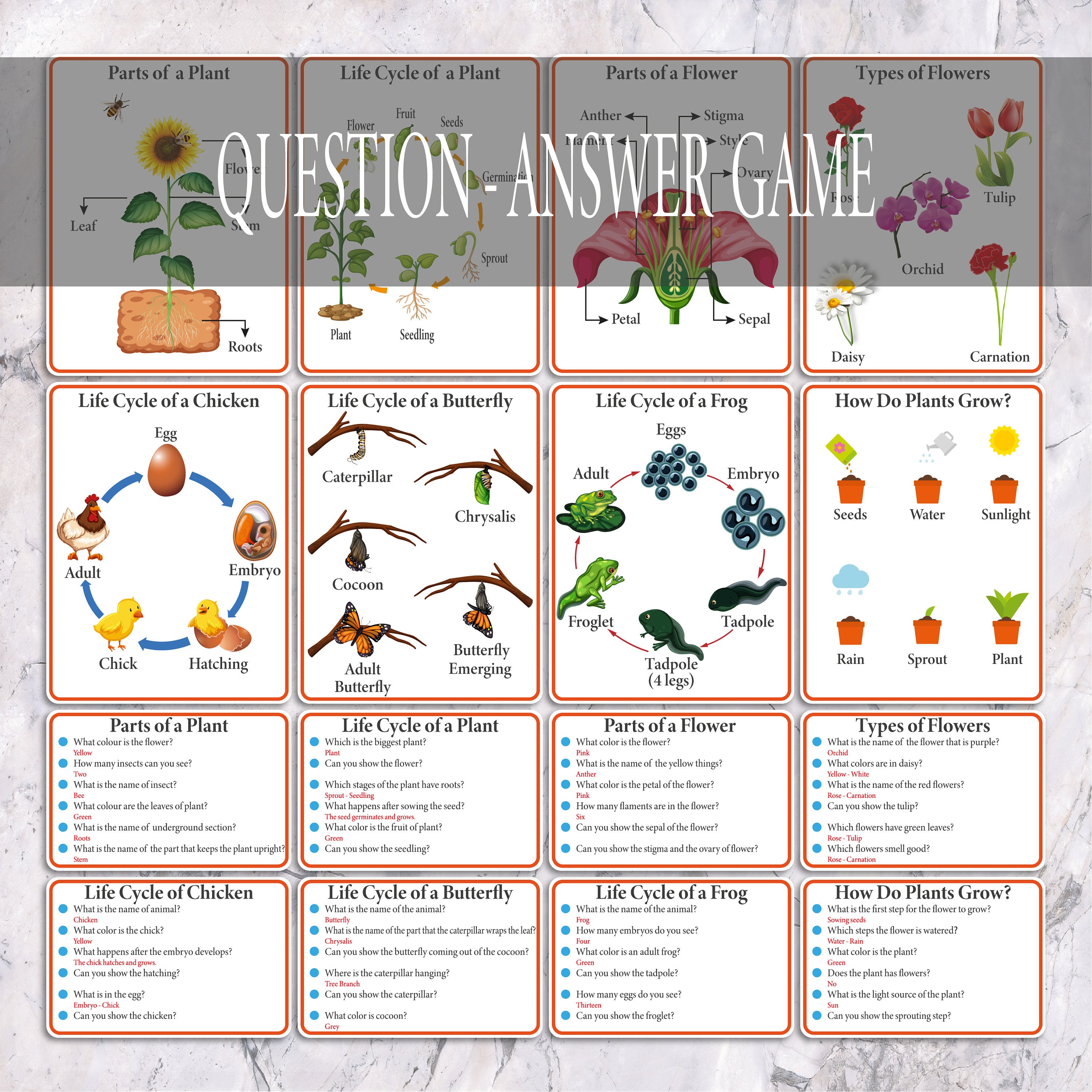 Biology Question-answer Game Cards, Montessori Toddler Game Cards for ...