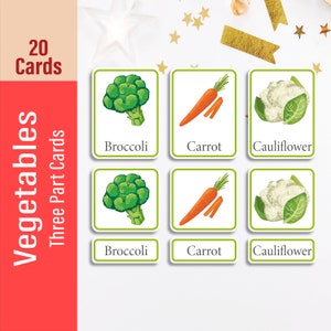 VEGETABLES Three Part Flash Cards, Montessori Resources, Toddler ...