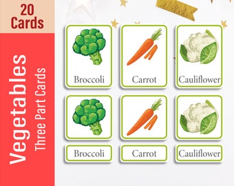 FRUITS Three Part Flash Cards Montessori Preschool Toddler | Etsy