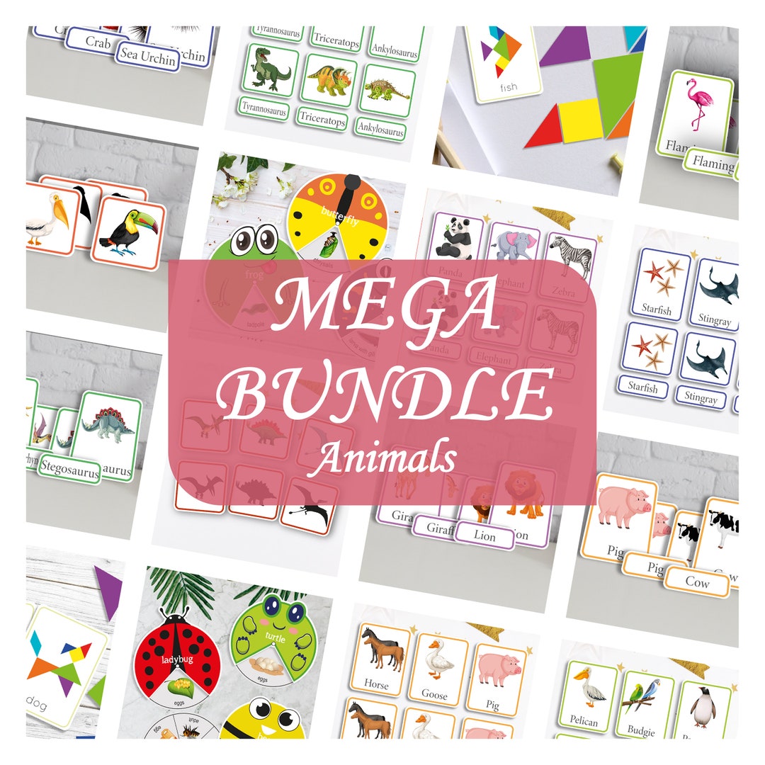 Animal Flashcards Set: Life Cycle, Tangram Game (PDF) - Etsy