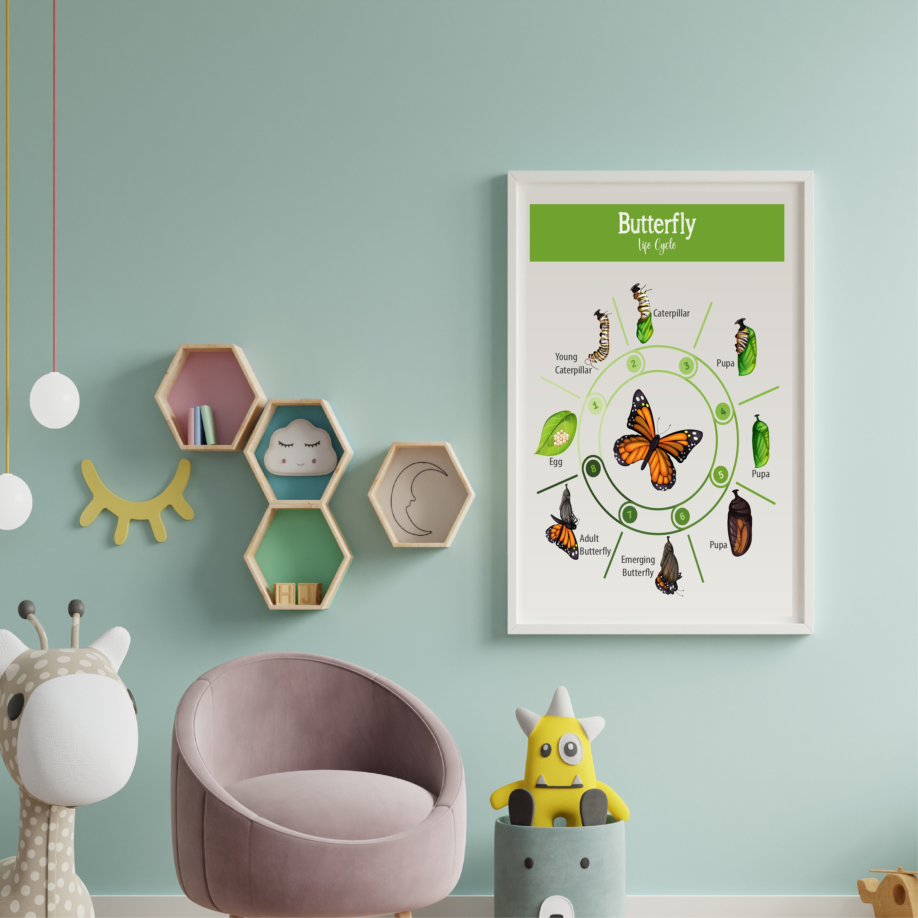Butterfly Life Cycle Poster: Montessori Homeschool Printable (digital ...