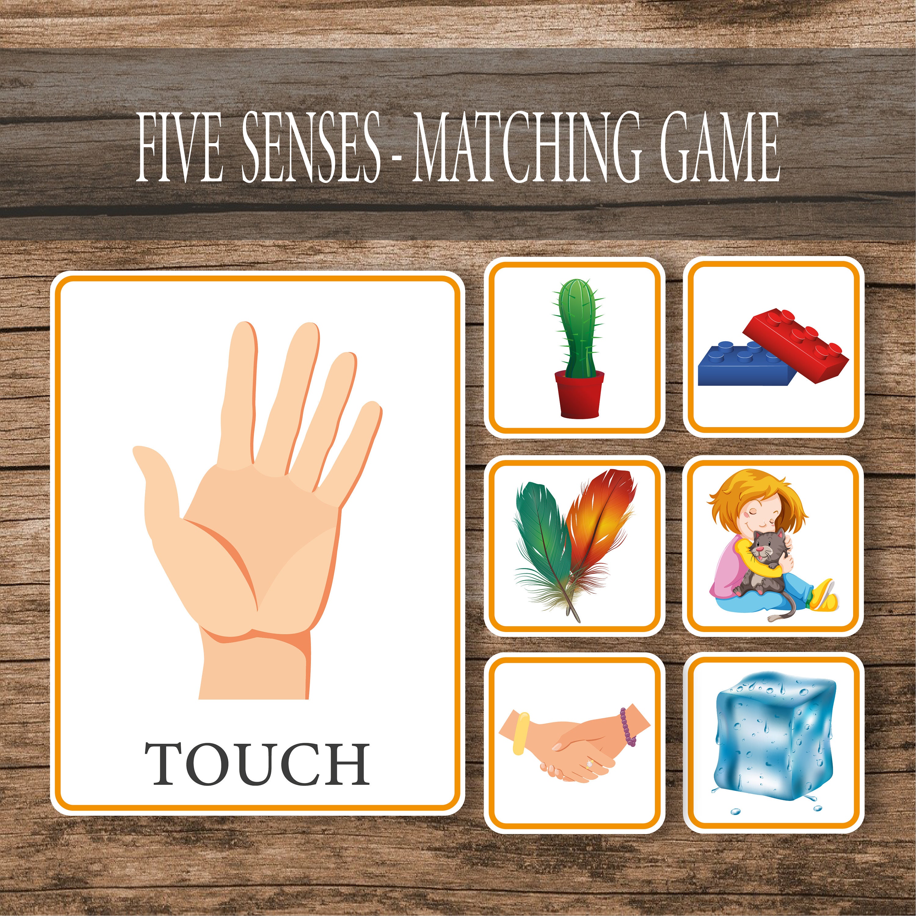 Five Senses Matching Game Cards: Montessori Early Learning (PDF) - Etsy