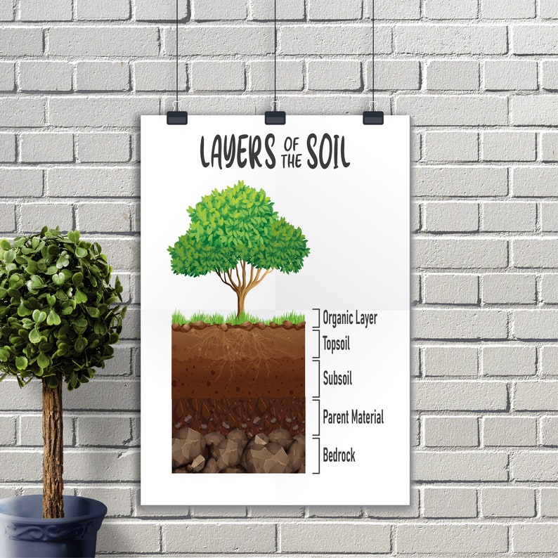 Layer of the Soil Poster, Earth, Montessori Materials, Homeschool ...