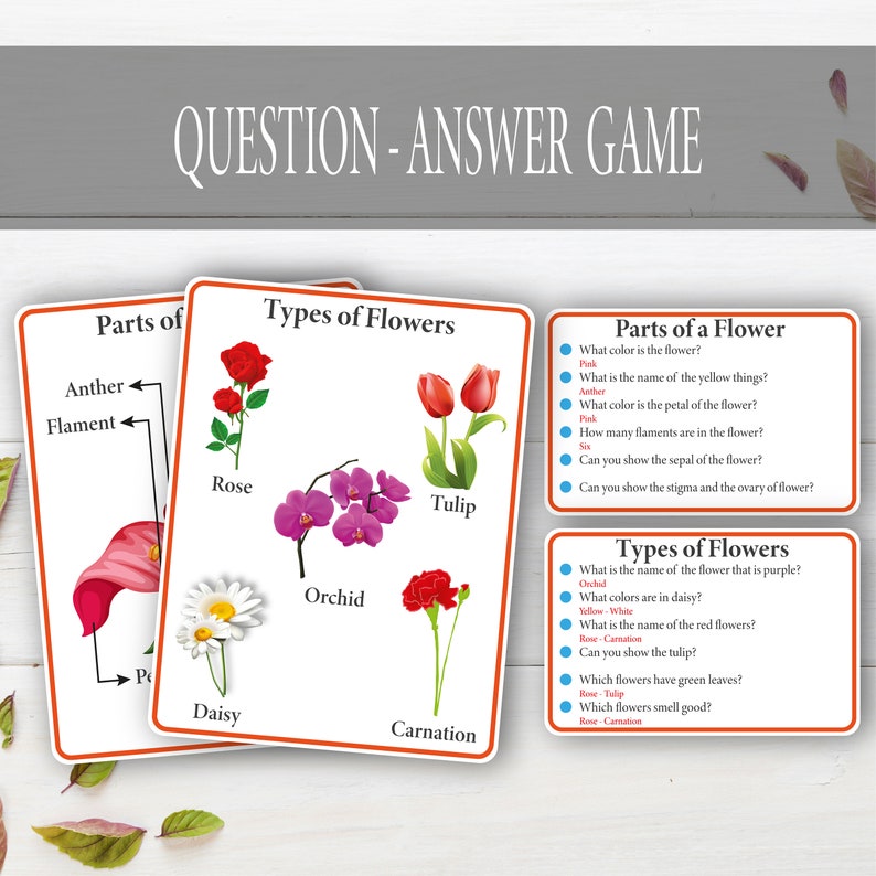 Biology Question-answer Game Cards, Montessori Toddler Game Cards for ...
