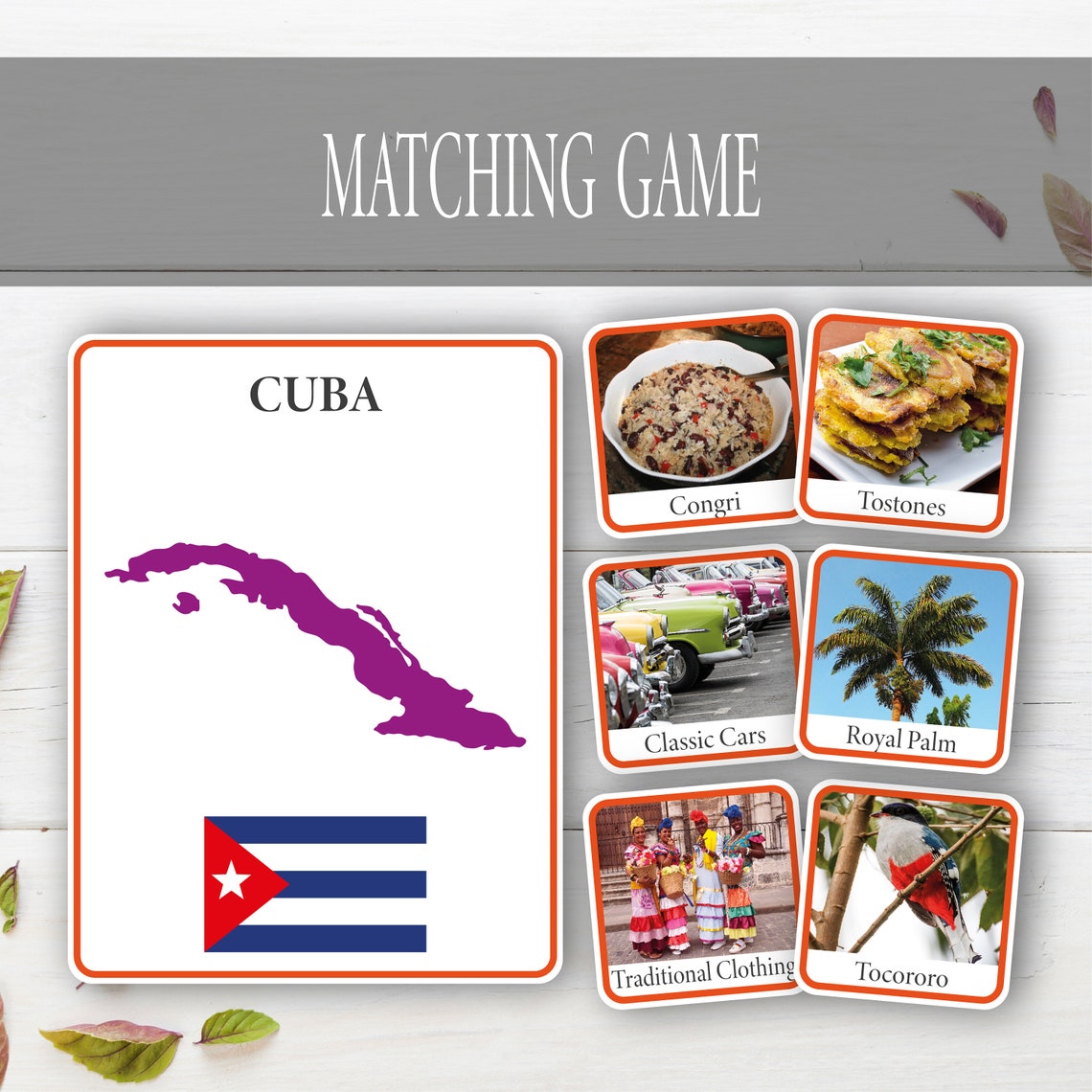 American Countries Matching Game Cards , Montessori Toddler Matching ...