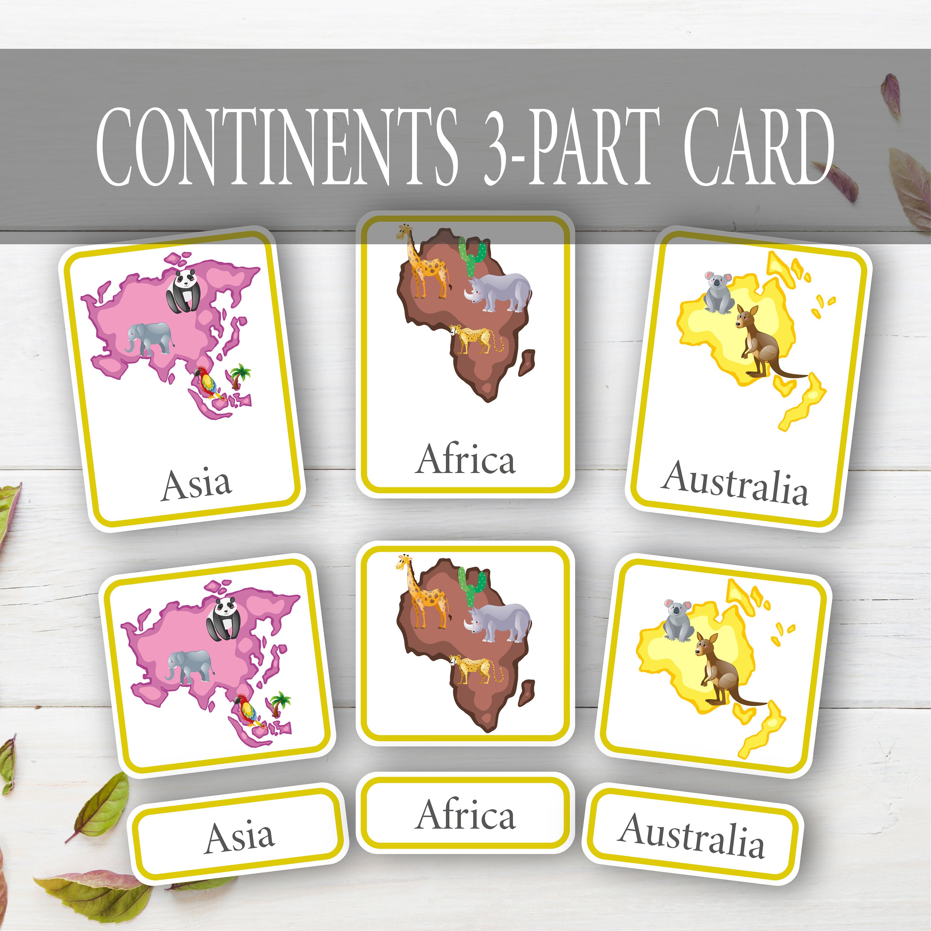 Continents of the World Flash Cards: Montessori Geography (PDF) - Etsy UK