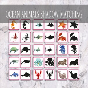 Ocean Animals Shadow Matching Game Cards, Montessori Toddler Matching ...