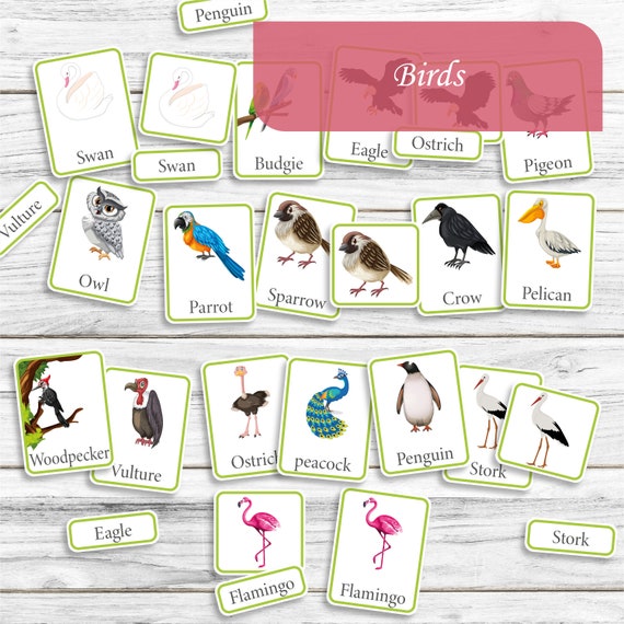 Homeschooling Printable Flashcard Nomenclature Cards Paper Tangram Toy ...