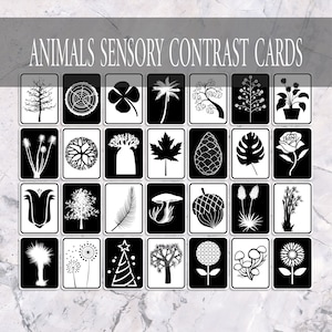 Plants High Contrast Baby Cards, Baby Contrast Cards for Newborn ...